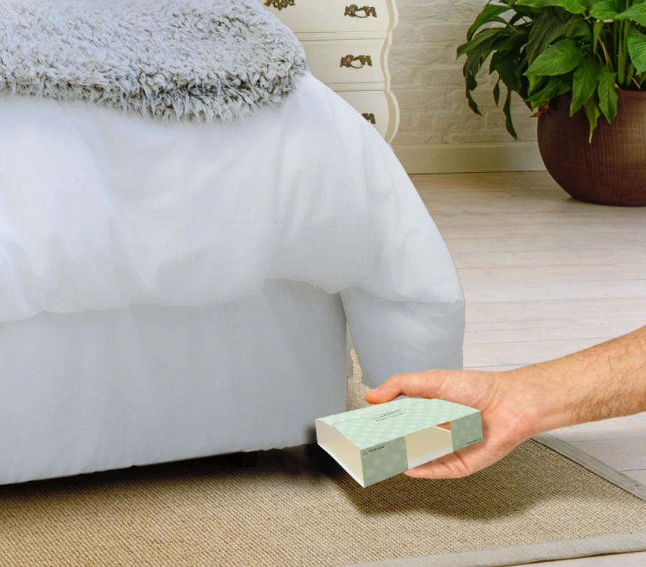 How To Identify Bed Bugs Pest